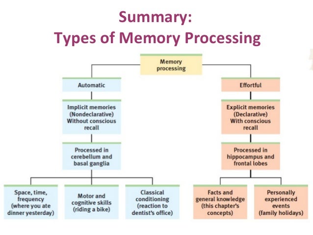 Effortful Processing Psychology