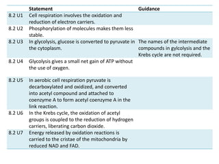 8.2 Cell Respiration | PDF