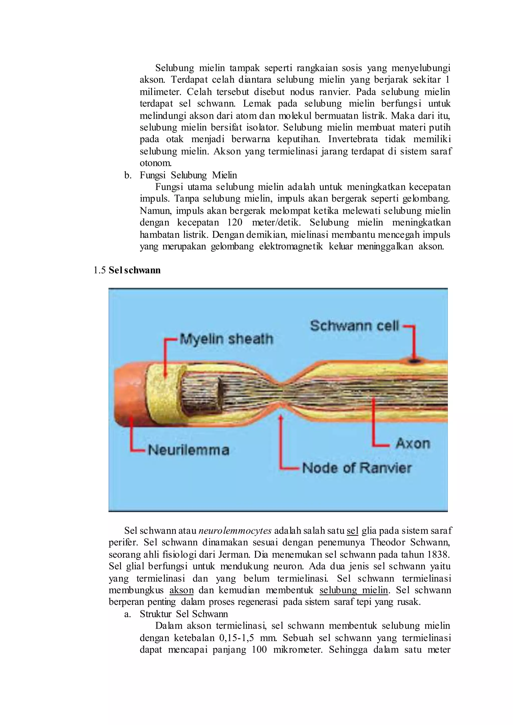 Jaringan Saraf | PDF