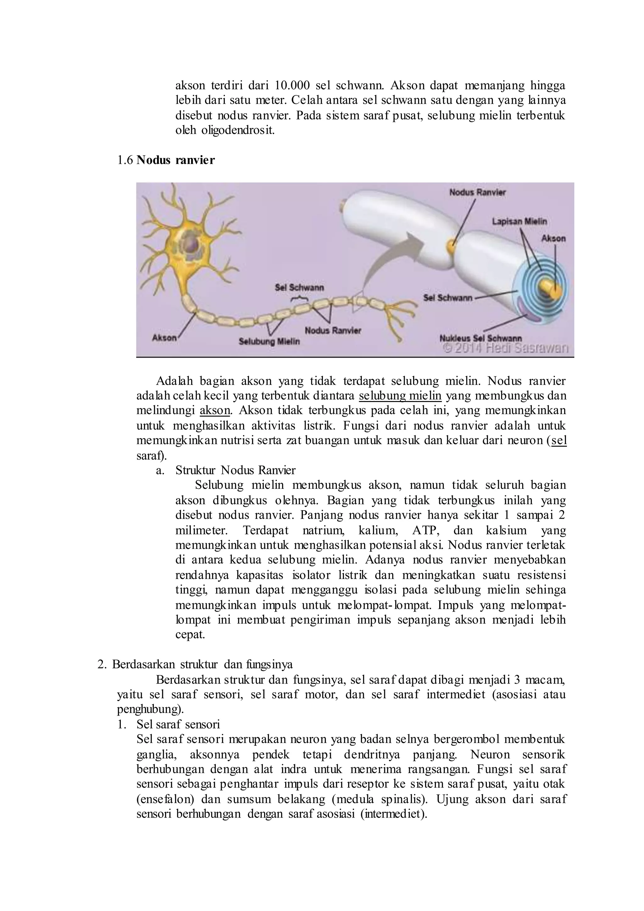 Jaringan Saraf | PDF