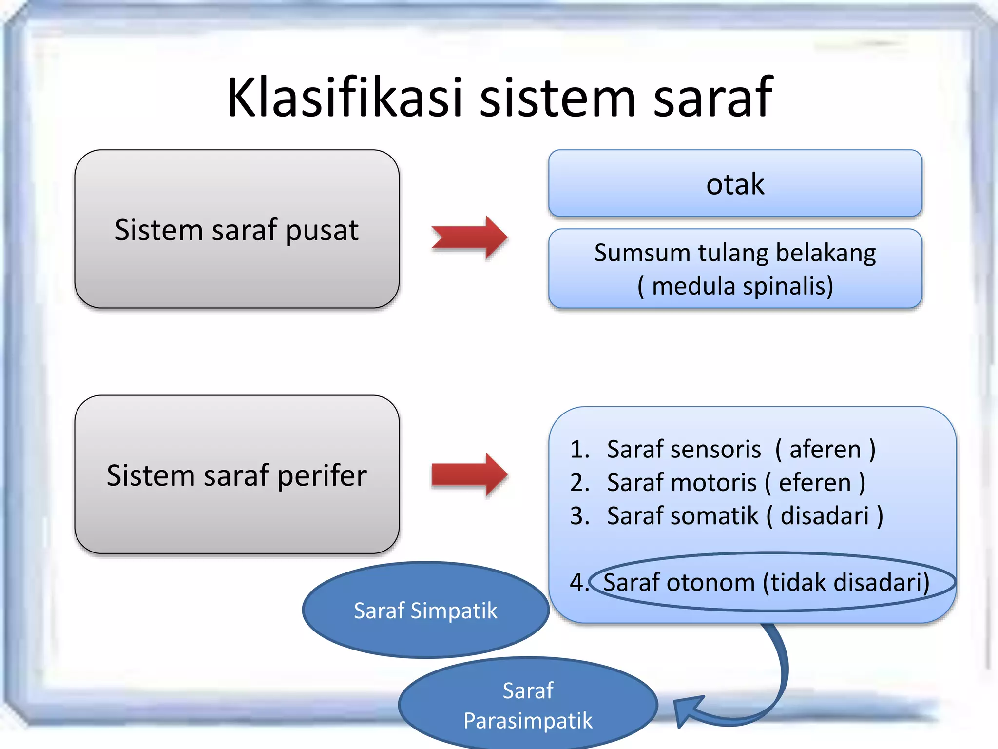 8. jaringan saraf | PPT