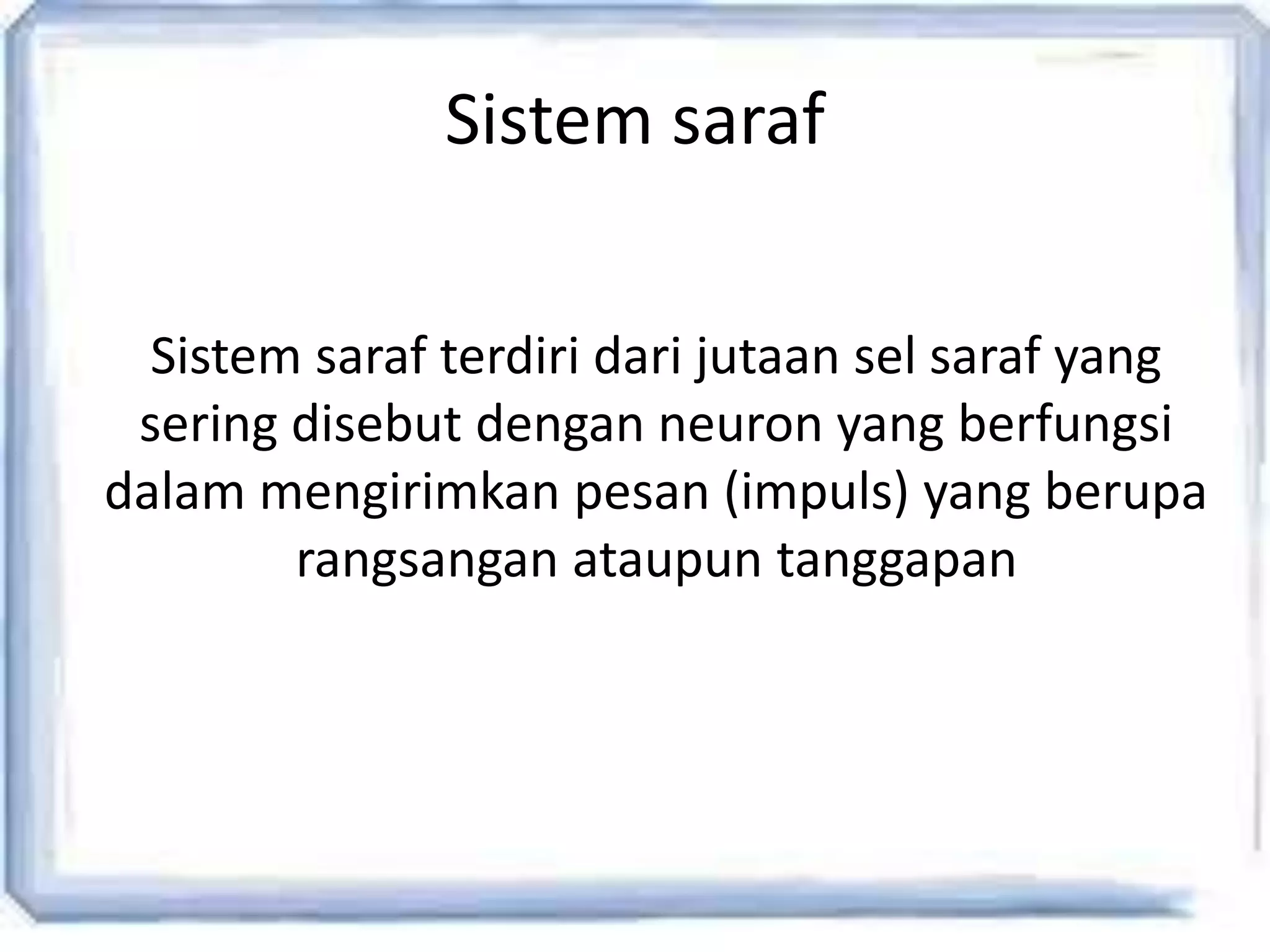 8. jaringan saraf | PPT