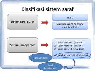 8. jaringan saraf | PPTX