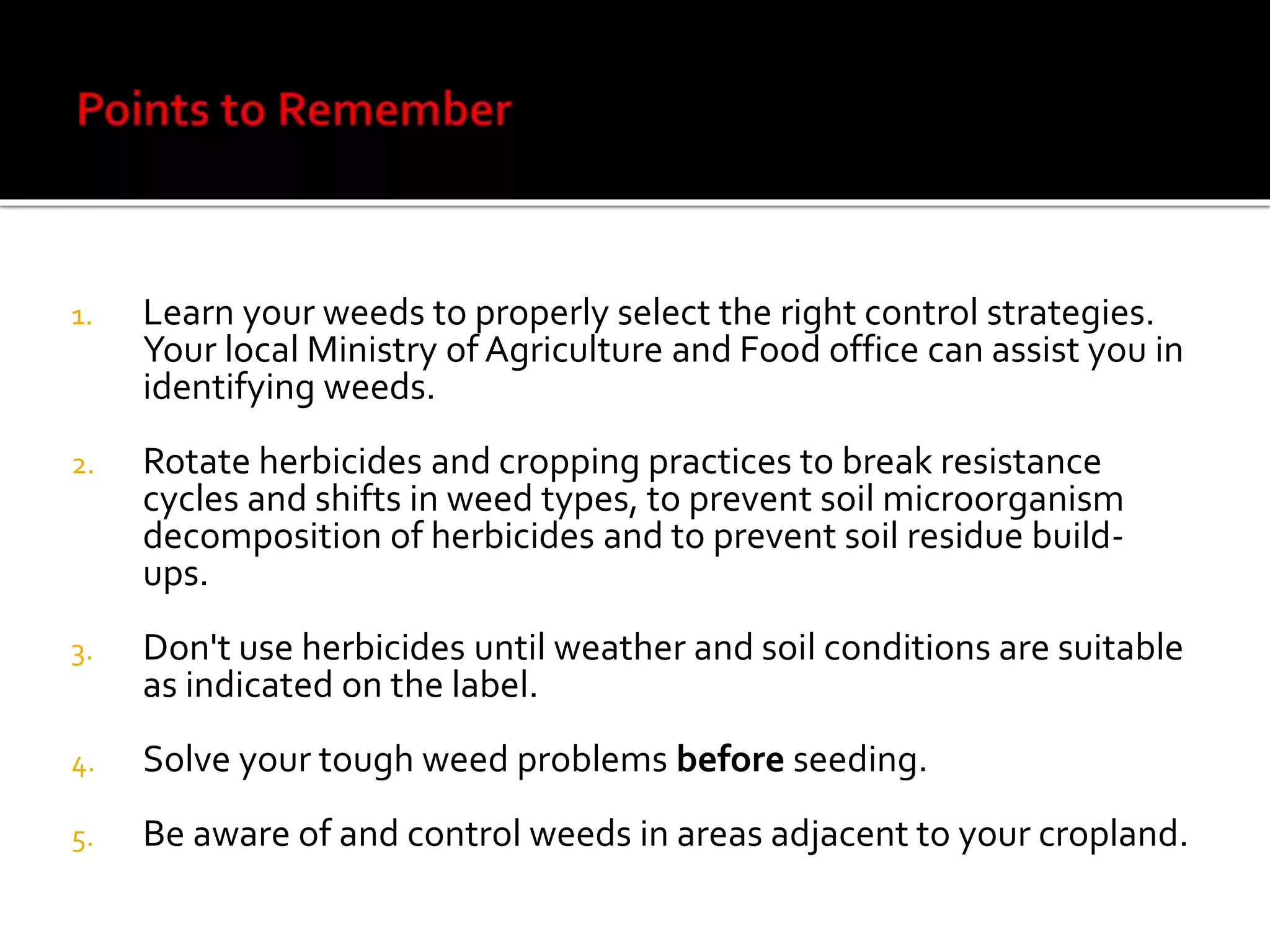 8.weed management plan by Allah Dad Khan | PPT