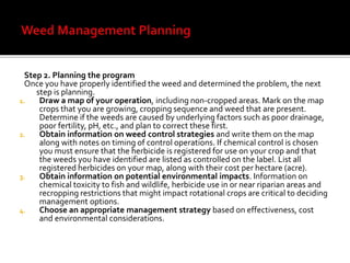 8.weed management plan by Allah Dad Khan | PPT