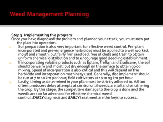 8.weed management plan by Allah Dad Khan | PPT