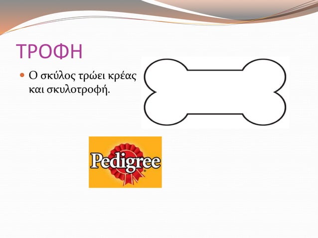 ΣΚΥΛΑΚΙ | PPT