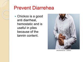 8.health benefits of chickoo By Allah Dad Khan | PPTX