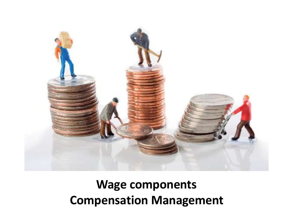 Wage components - compensation management - Manu Melwin Joy