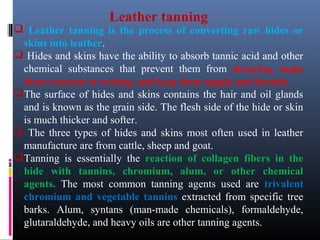 8. tanning of leather | PPT