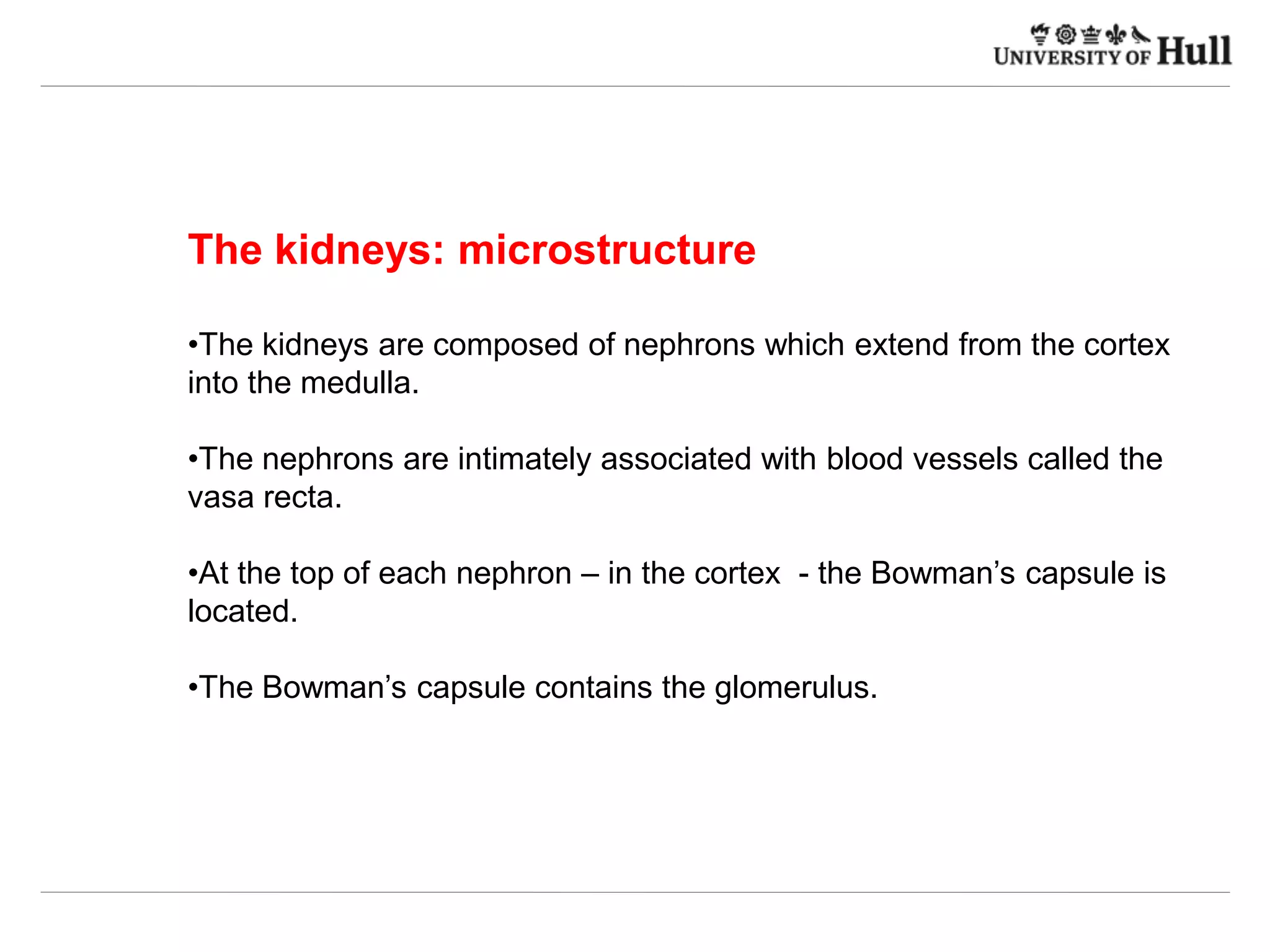 Renal system | PPTX