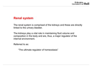 Renal system | PPTX