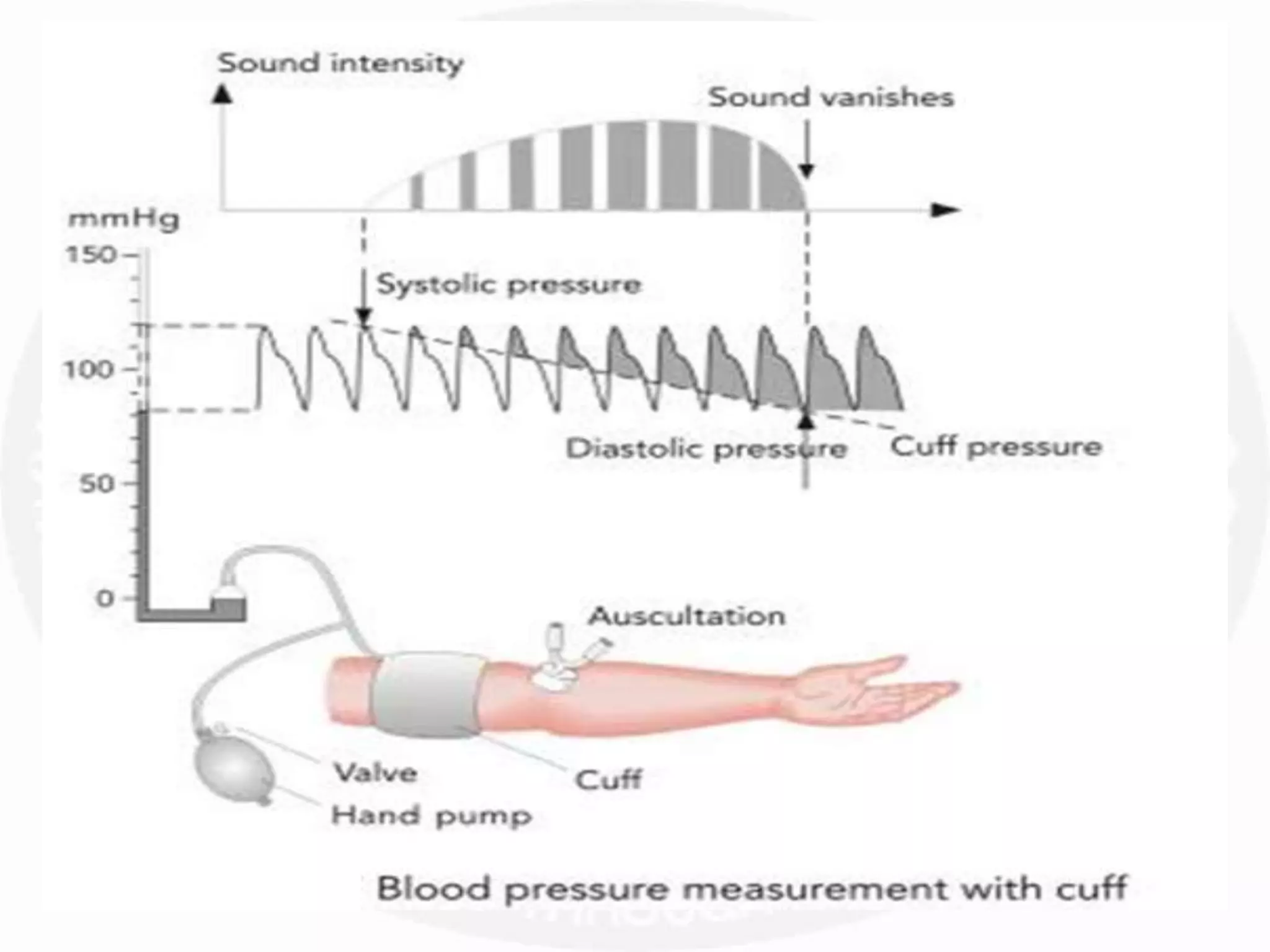 BP measurement | PPTX