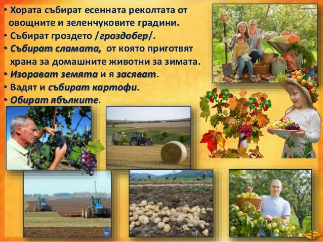 8 и 9 Eсен Eсен в родния край РК Просвета В П