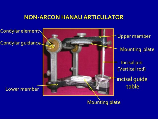 articulators