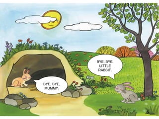 Little rabbit | PPTX