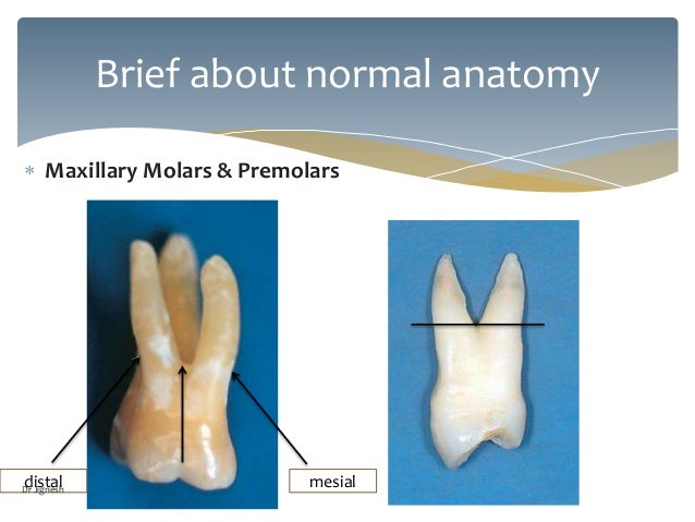 furcation involvement