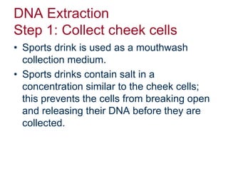 Medical Detectives | PPTX