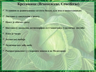 8. Ljutici, bukve, breze, kupusi, ruze | PPT