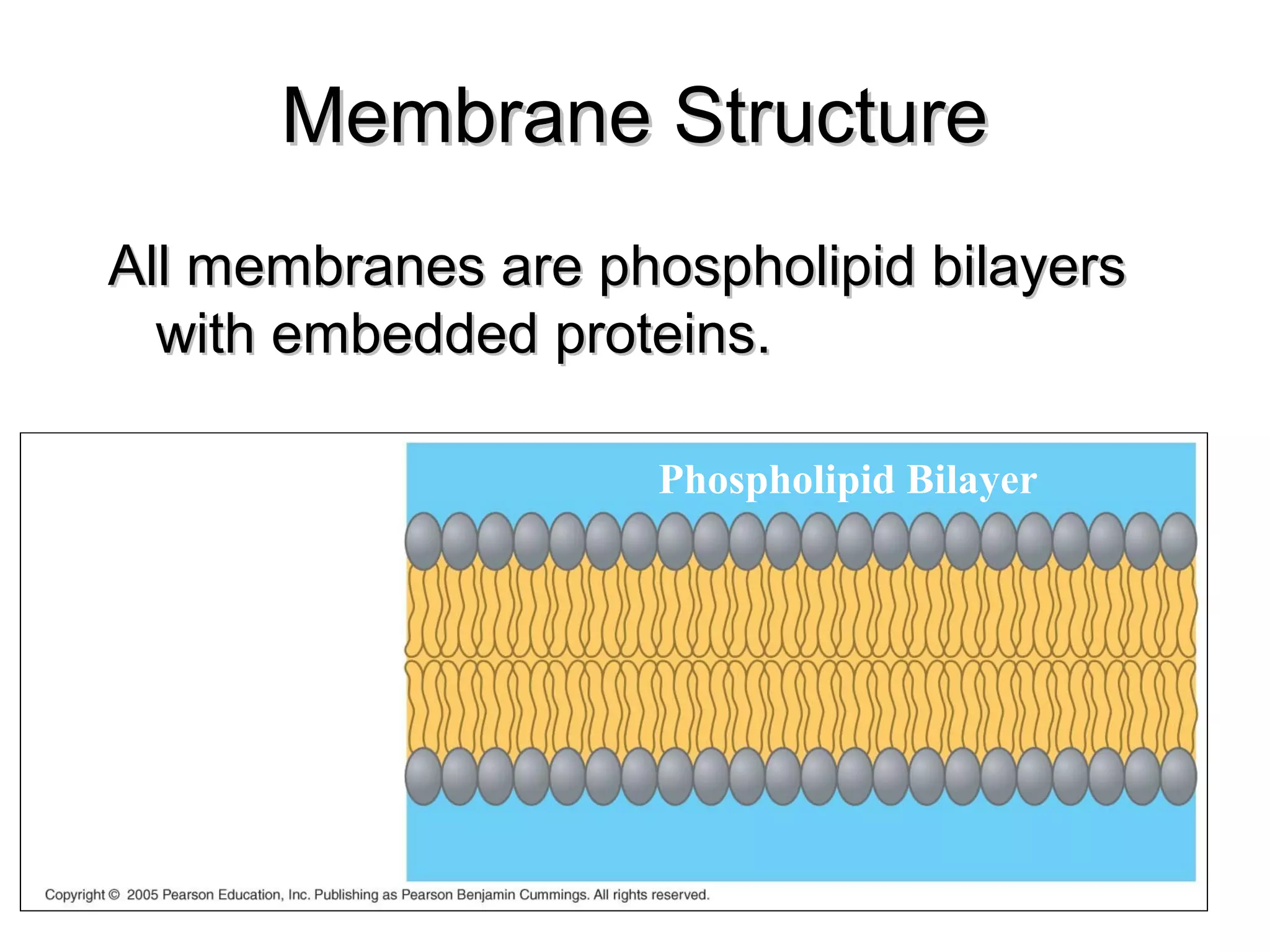 8. Cell: The Unit of Life | PPT