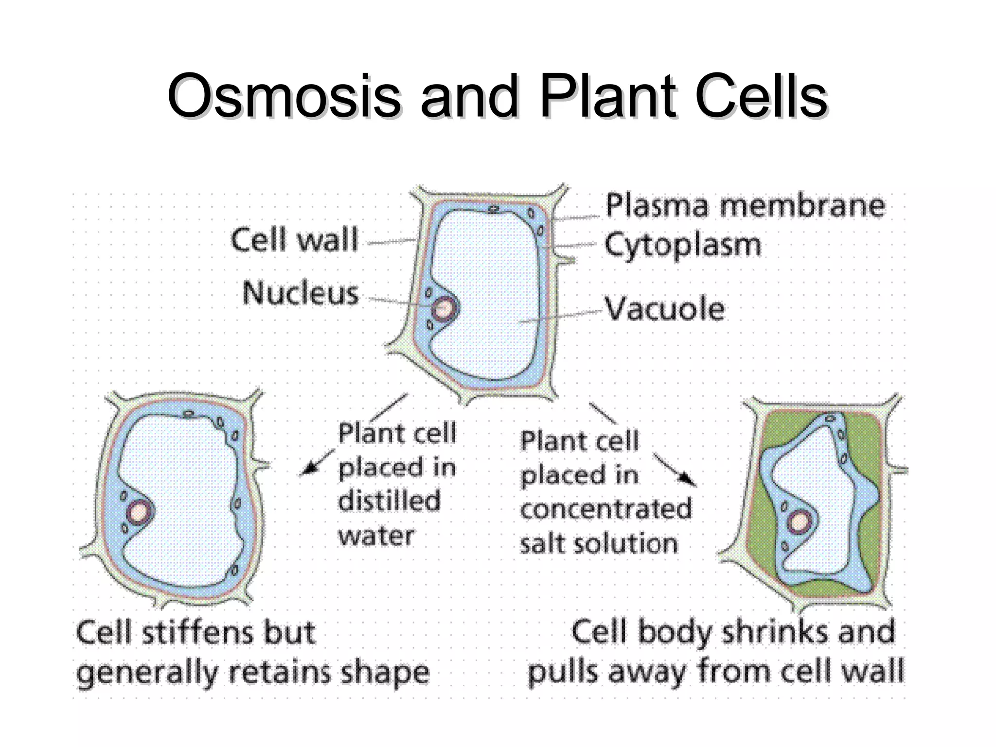 8. Cell: The Unit of Life | PPT