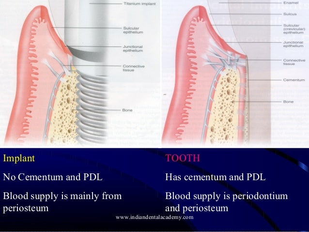 8.implantology biologic and clinical aspectscertified fixed orthodont…
