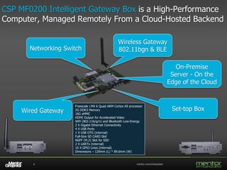 8.mentor graphics | PPTX