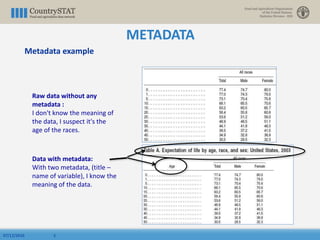 " Overview of the Metadata in the new CountrySTAT platform " | PPT