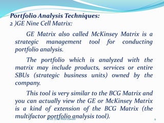Business Portfolio Analysis | PPSX