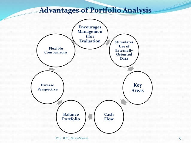 Business Portfolio Analysis