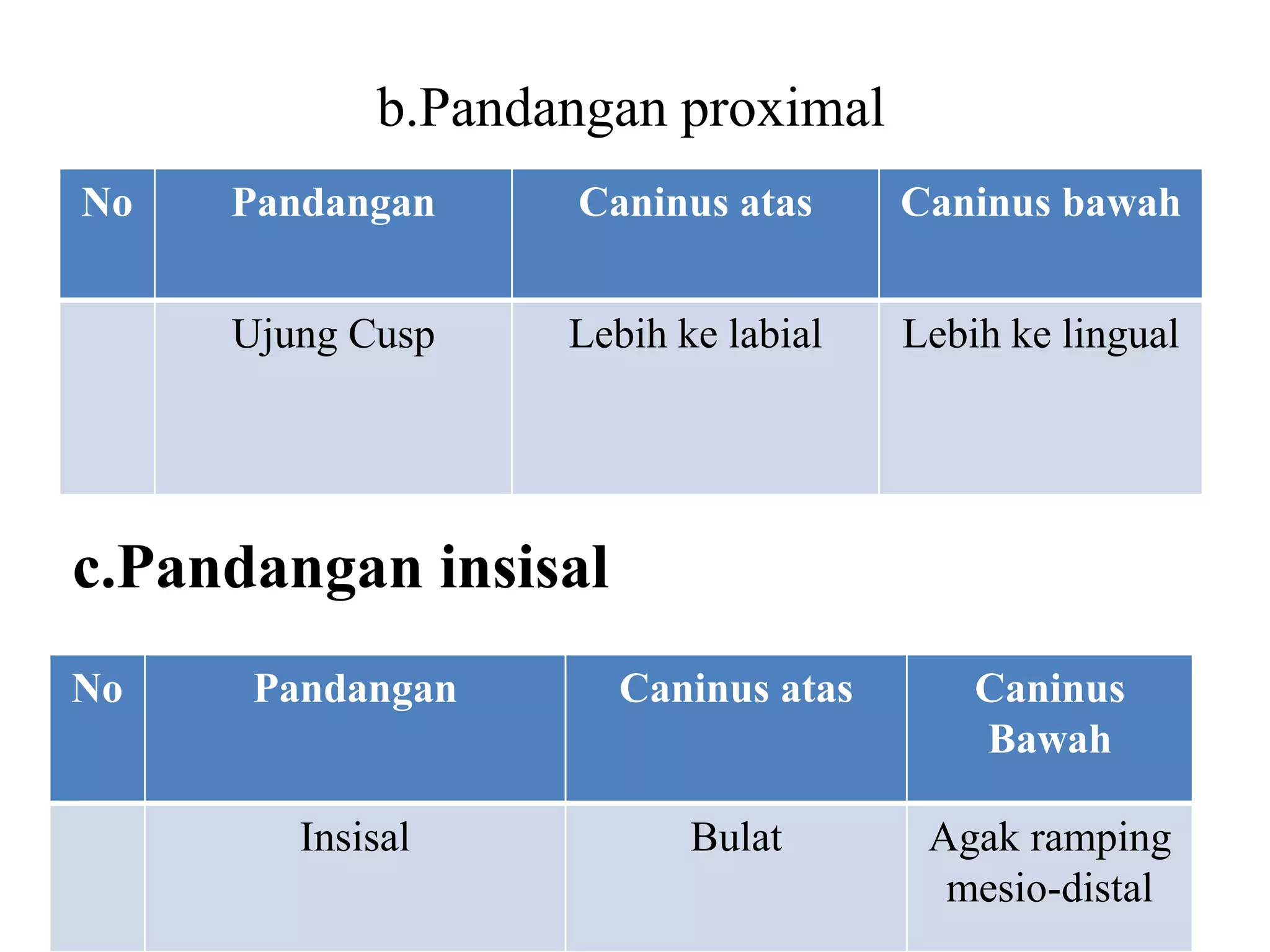 8. anatomi gigi full | PPTX