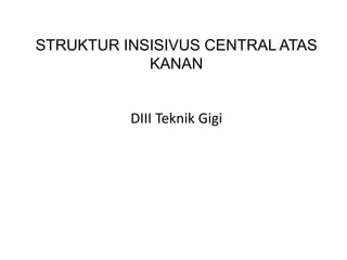 8. anatomi gigi full | PPTX
