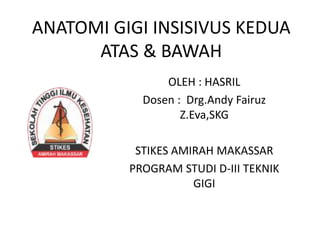 8. anatomi gigi full | PPTX