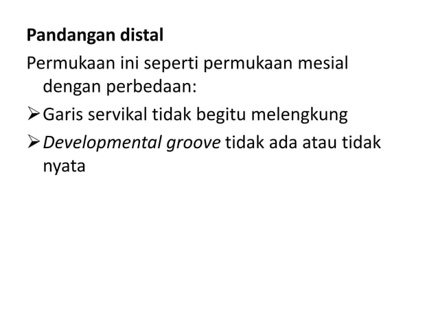 8. anatomi gigi full | PPTX
