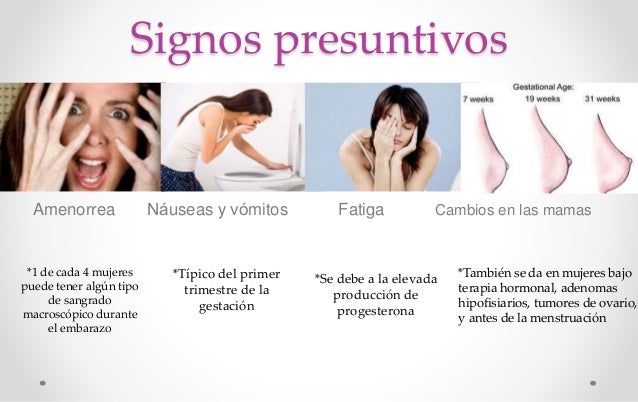 Diagnóstico de embarazo