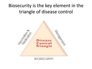 biosecurity and principles of disease prevention management | PPTX