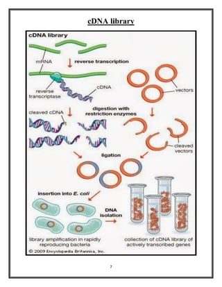 DNA Library | PDF