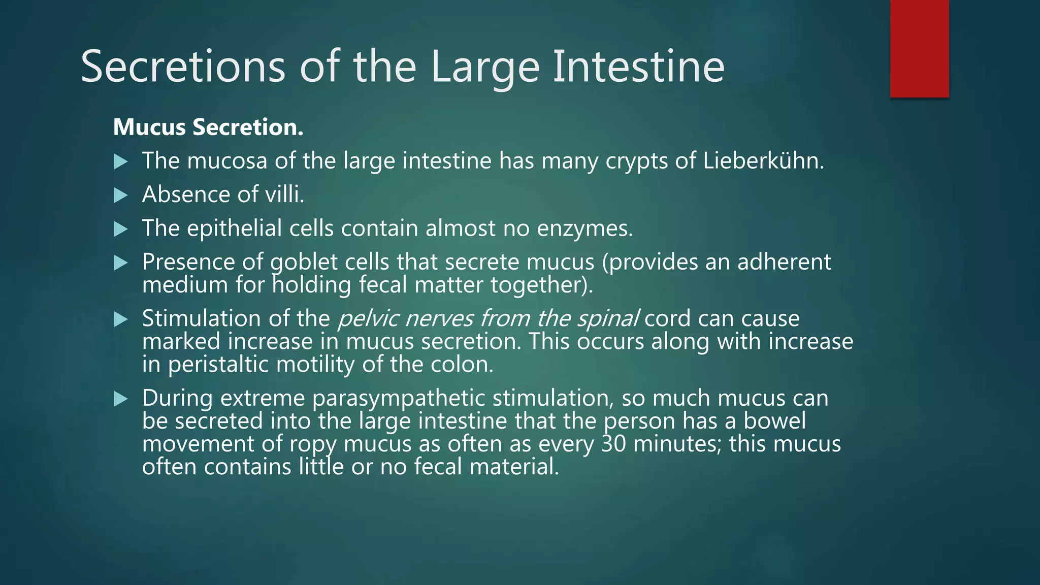 large intestine physiology | PPTX