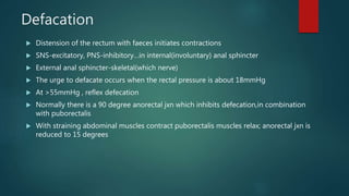 large intestine physiology | PPTX