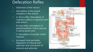 large intestine physiology | PPTX