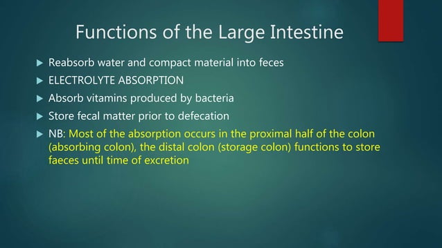 large intestine physiology | PPTX | Digestive Disorders | Diseases and ...