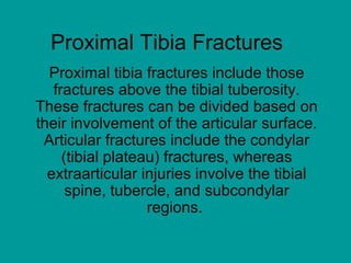 Fracture of Proximal Tibia | PPT