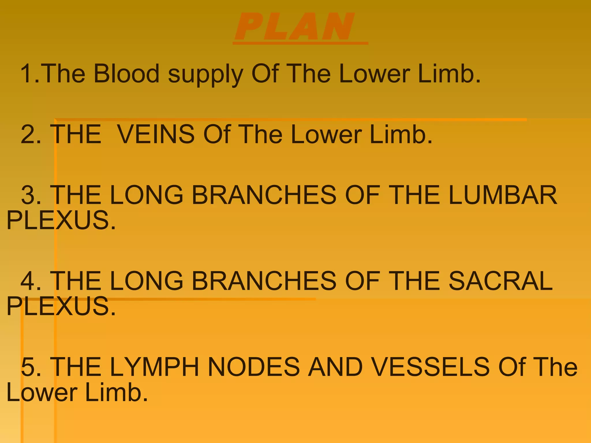 Blood vessel, Innervation and lymph system of lower limb | PPT