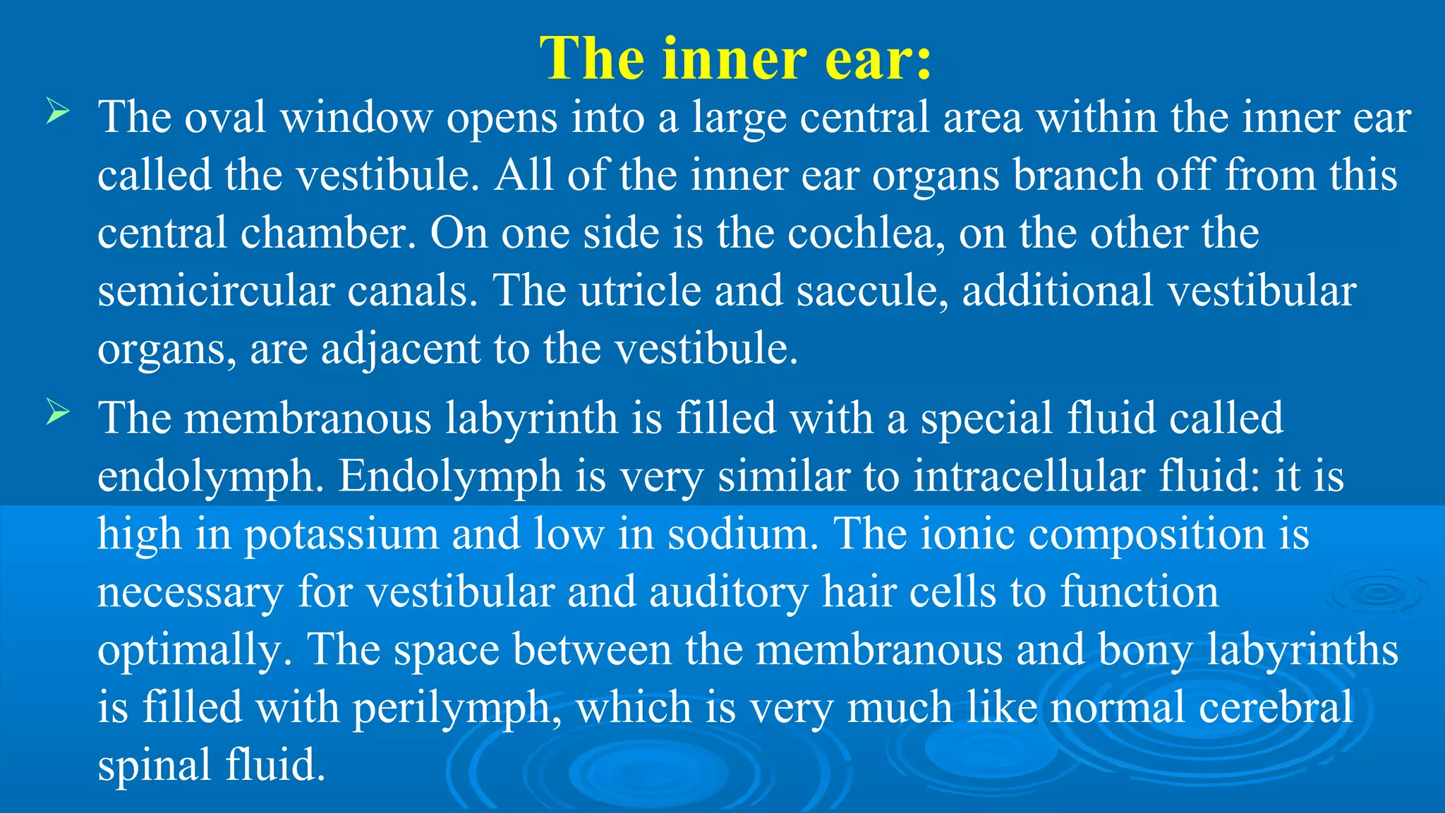 Histology of Sensory organs | PPT