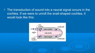 Histology of Sensory organs | PPT