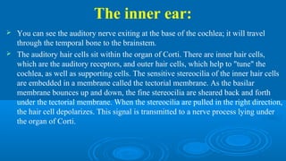Histology of Sensory organs | PPT