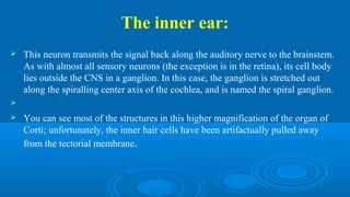 Histology of Sensory organs | PPT