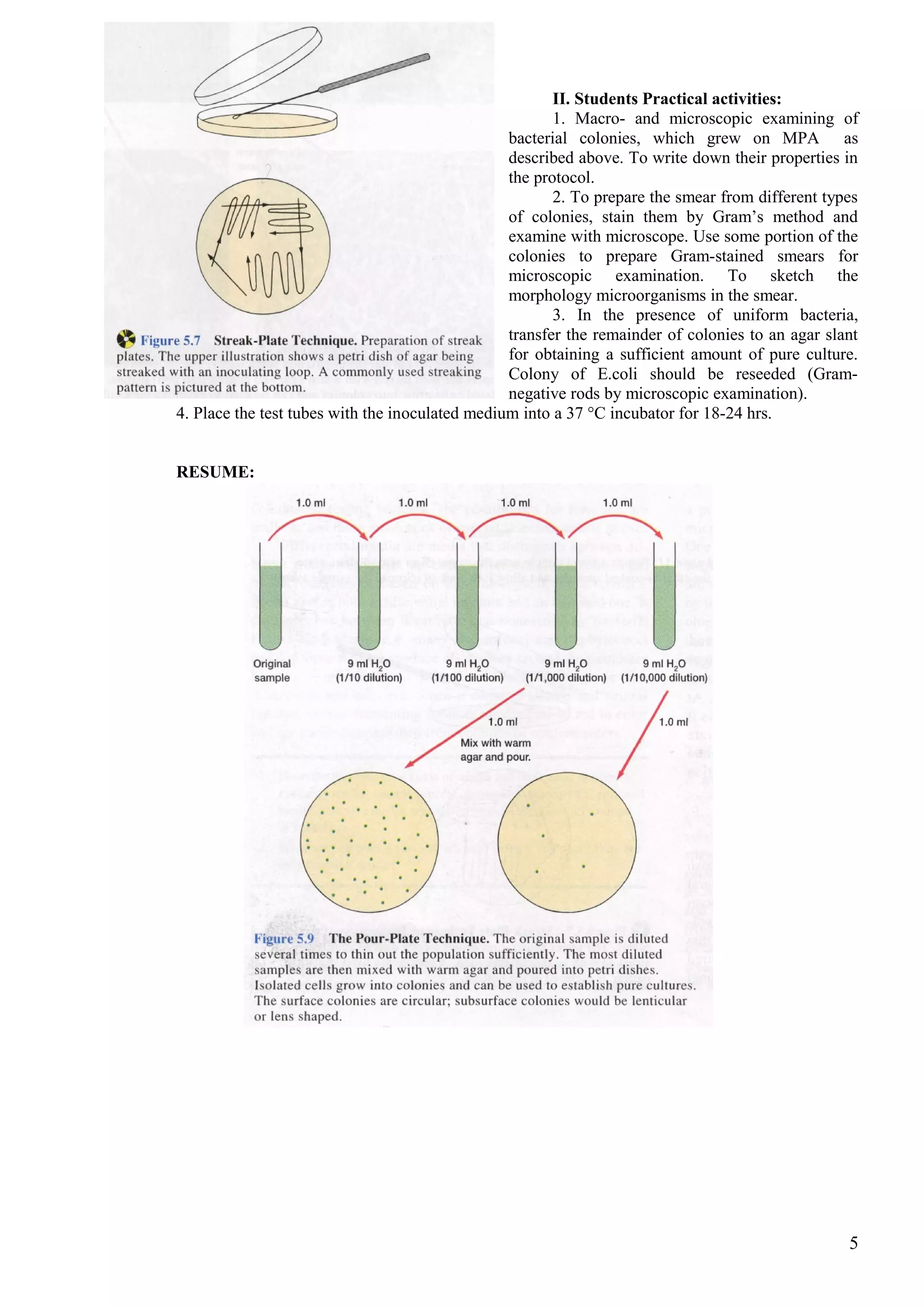 Growth & multiplication of Microorganism. The main principles of ...