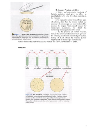 Growth & multiplication of Microorganism. The main principles of ...