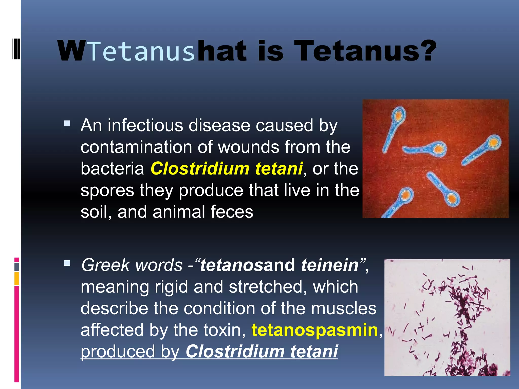 Tetanus and Anaerobic infection | PPT